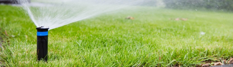 Aanleggen beregeningssysteem voor een middelgrote tuin | Wildkamp